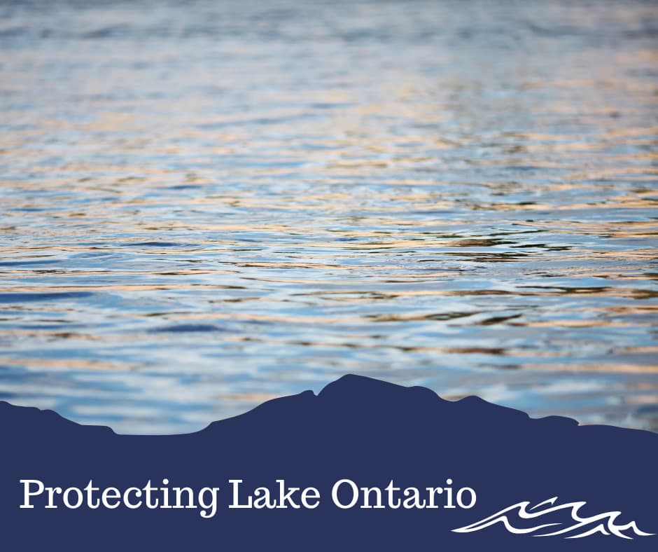 Protecting Lake Ontario - BurlingtonGreen