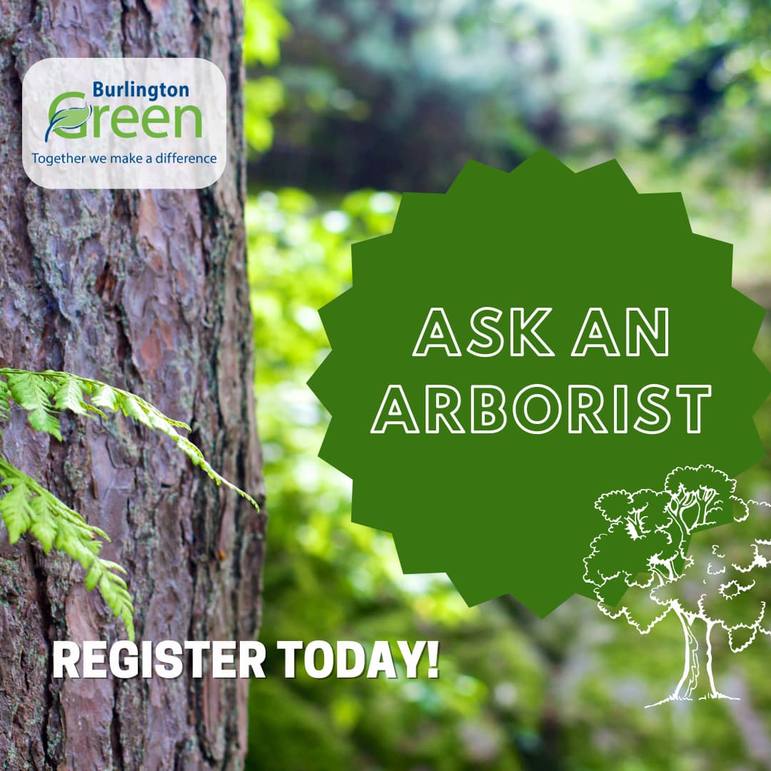 Let's Celebrate Trees Together - BurlingtonGreen