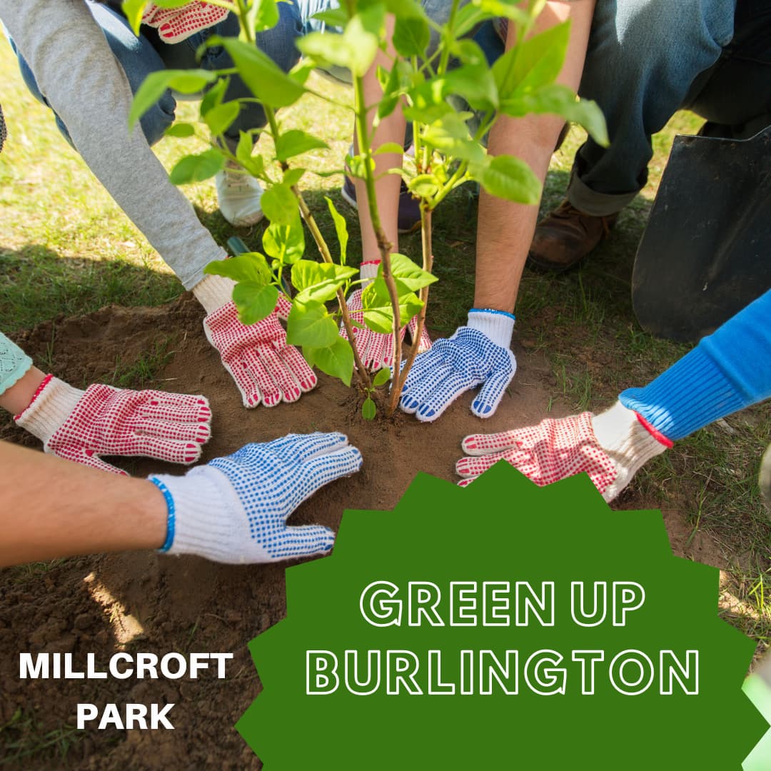 Let's Celebrate Trees Together - BurlingtonGreen