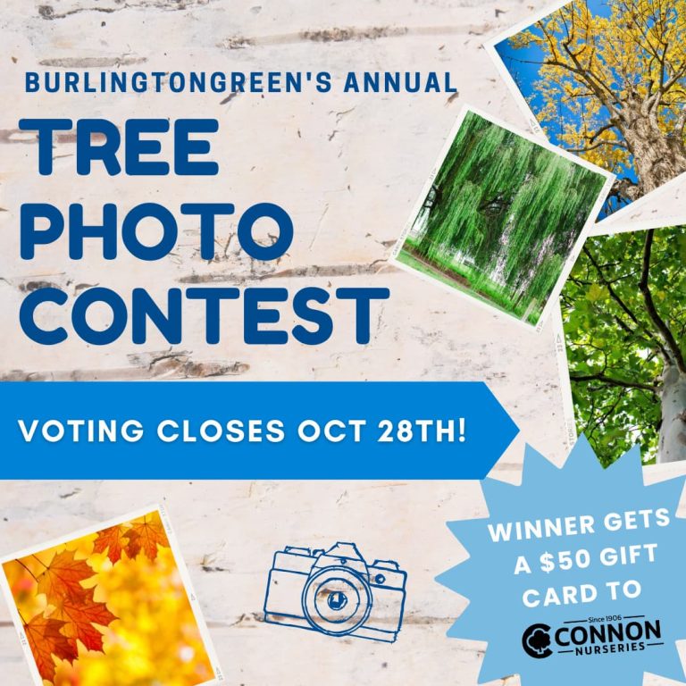 Let's Celebrate Trees Together - BurlingtonGreen